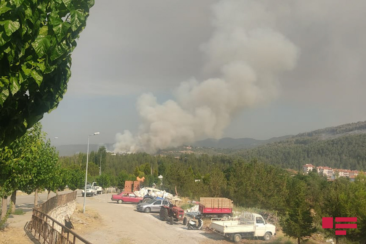 Fires in Turkey continue-PHOTO-VIDEO
