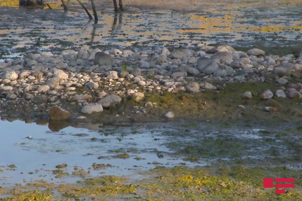 Armenians turned territory of three villages into a swamp by changing ...