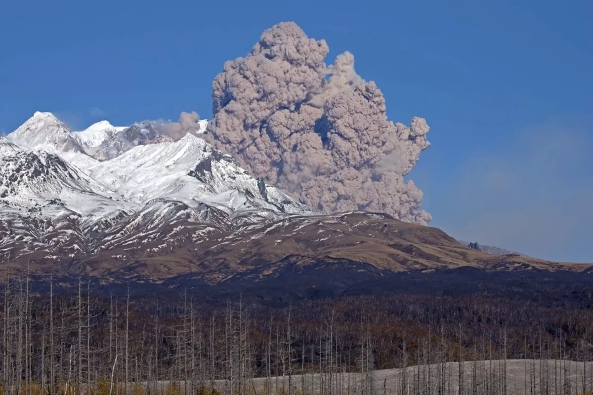 Shiveluch volcano in Russia's Kamchatka begins to erupt - Russian ...