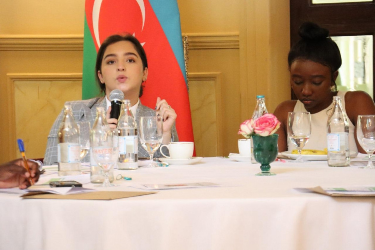 Youth Climate Champion for COP29 Azerbaijan meets with representatives ...
