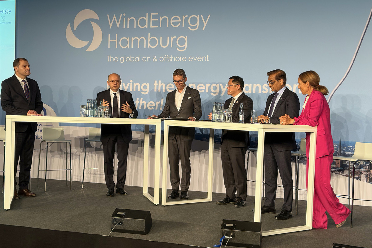 COP29 shapes energy initiatives to achieve global "net zero ...