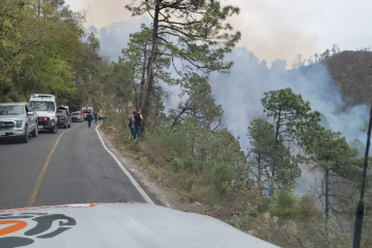 In northern Mexico, a van accident kills 12 people and sparks forest fire