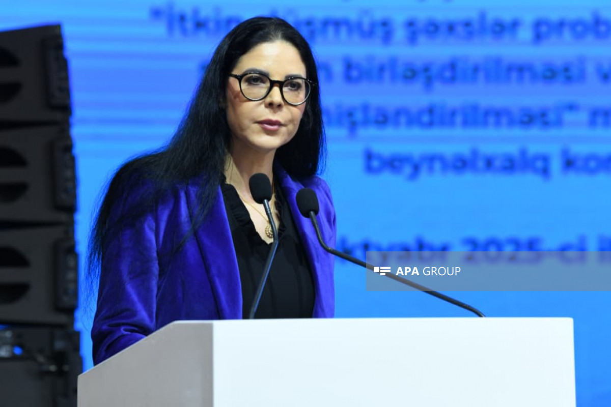 Ana Birchal: Azerbaijan's experience in international cooperation on ...
