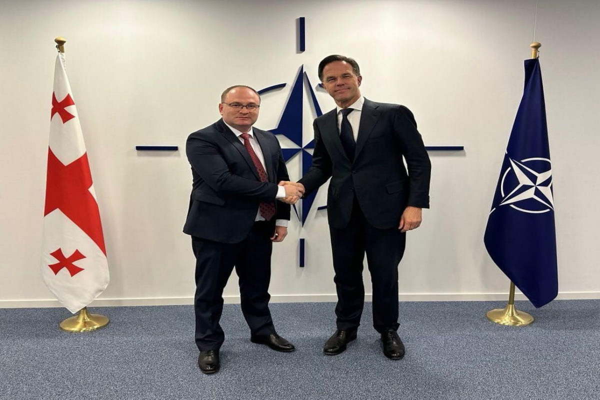Georgia, NATO discussed cooperation