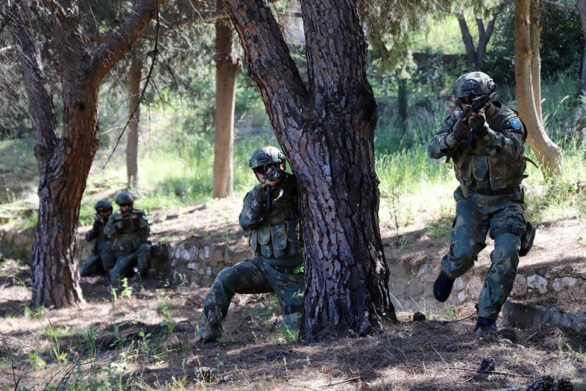 “EFES-2026” Multinational Exercise continues - VIDEO